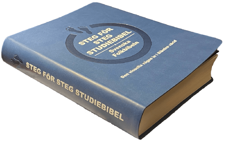 NT2026 – ny bibelöversättning – pingstfi.blog